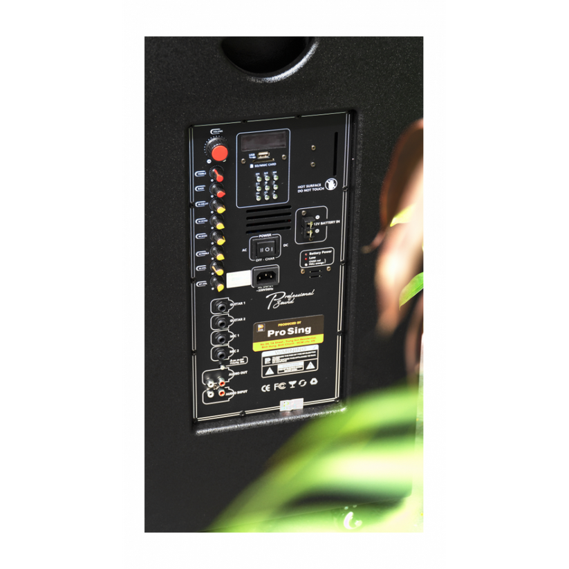 Pro Sing W15 Super One Karaoke Speaker – DTS-HiFi